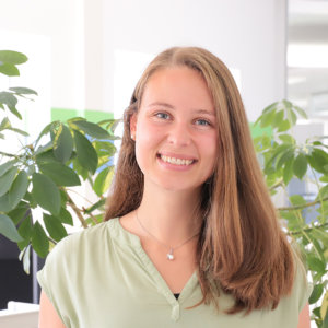 Battery Safety – The CE Mark – Jauch Blog